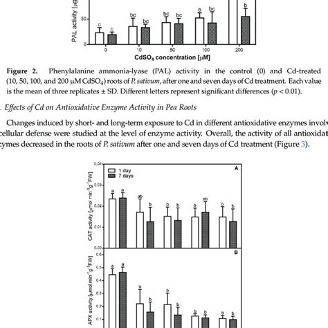 Catalase Cat A Ascorbate Peroxidase Apx B And Guaiacol