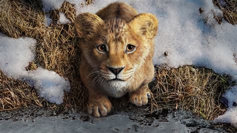 Mufasa Trailer Gives Us Our First Look At The Live Action Prequel To