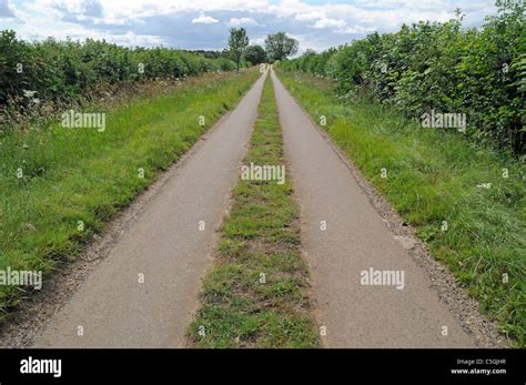 Straight Narrow Country Lane With Grass Growing In The Middle Of The