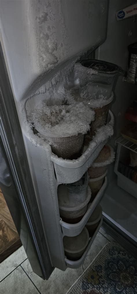 Freezer Left Open A Crack Overnight Avoid Costly Food Spoilage
