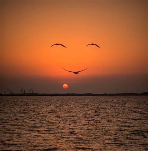 মুহাম্মাদ ডানাগুলো অবিরাম ঝাপটিয়ে এই সমুদ্র পাড়ি দিয়ে নীড়ে ফিরবে পাখিগুলো। একেবারেই যখন