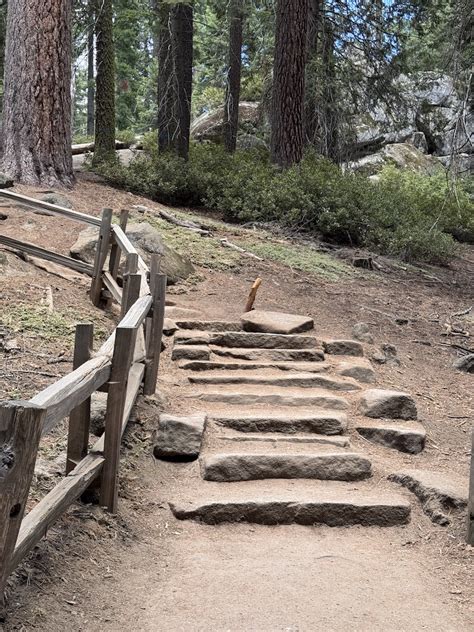 General Grant Tree Trail In Kings Canyon National Park