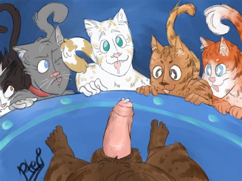 Rule 34 1boy 5girls Anthro Artist Name Balls Ballsack Cats Movie