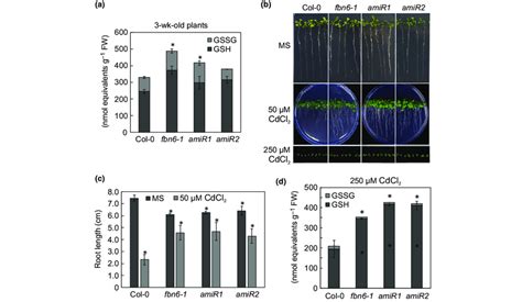 Tolerance Of Arabidopsis Thaliana Wild Type Col 0 Fibrillin6 1 Download Scientific Diagram