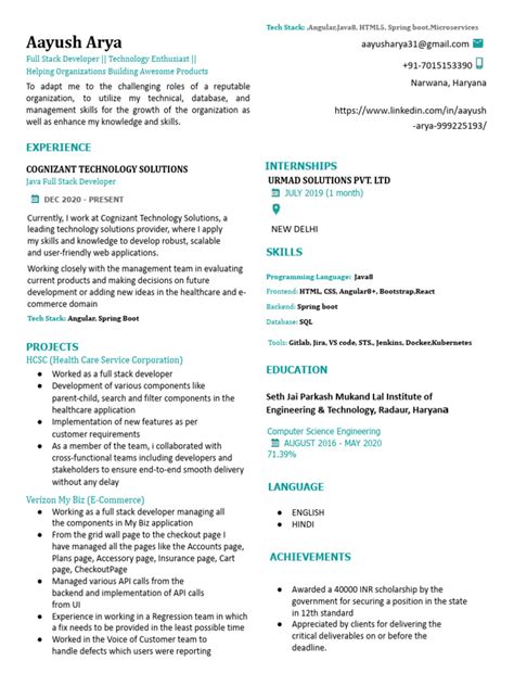 Aayush Full Stack Developer Pdf Software Development Information