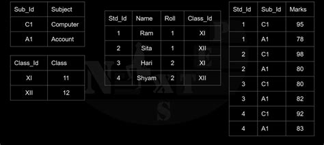 Chapter 1 Database Management System Dbms Next Step Infotech