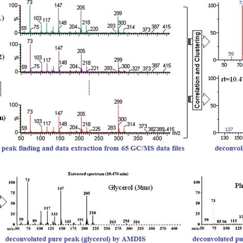 Data Processing Workflow TagFinder04 The Raw GC MS Data Files Were Download Scientific