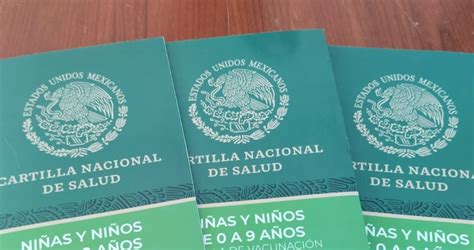 Cartilla De Vacunación Cómo Sacarla Fácil Y Gratis En Línea