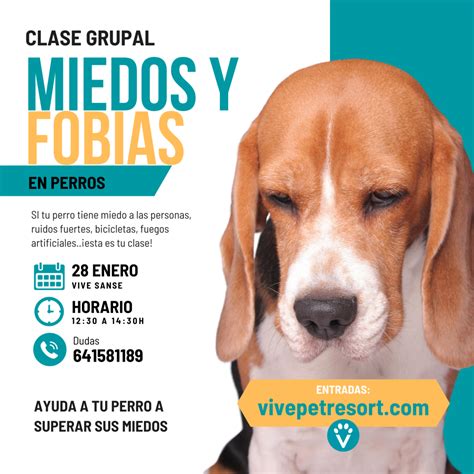 CLASE MIEDOS Y FOBIAS EN PERROS Sanse 28 Ene Vive Pet Resort