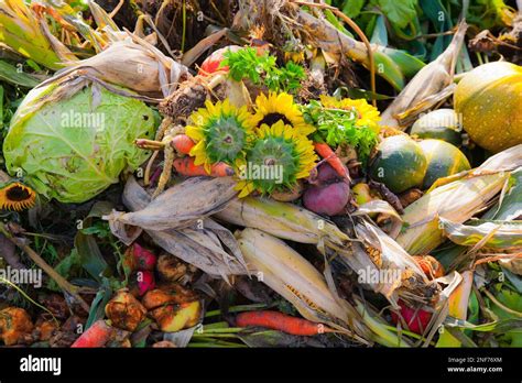 COMPOST HEAP IN AUTUMN Stock Photo Alamy