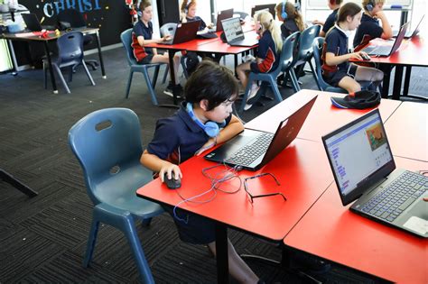 Coding Lccc Primary Stem