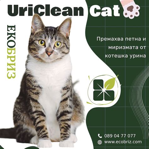 Uriclean Cat ензимен препарат за котешка урина и петна Еко Бриз