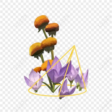 골드 프레임 일러스트 기하학적 꽃 결혼식 명암입니다주황색꽃들 Png 일러스트 무료 다운로드 Lovepik