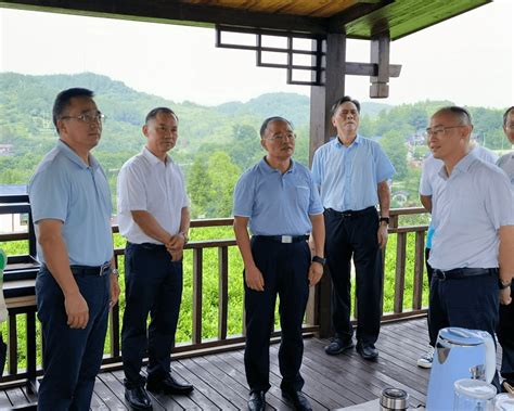 彭国甫在张家界市调研时强调：深挖特色优势 强化产业支撑 努力构建高质量协同发展格局建设中医药水利