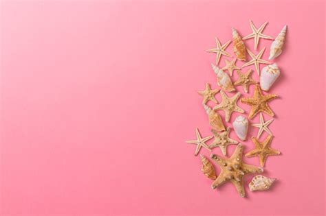 조개와 바다 색 배경 복사 공간 여행 에서 인사말 카드 또는 엽서 0명에 대한 스톡 사진 및 기타 이미지 0명 개념 개인
