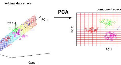 Bioinformatics Problems And Fixes