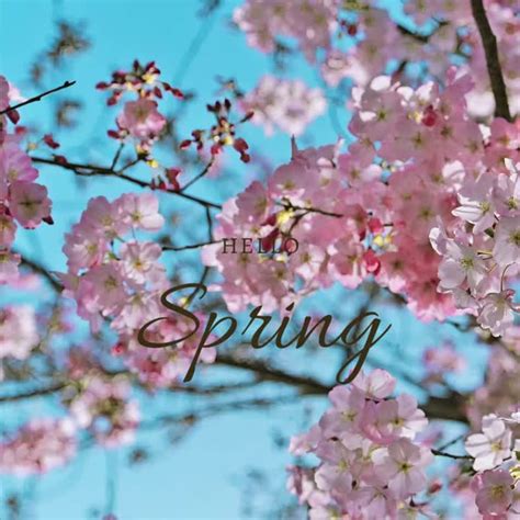 Webmba Mba Gradschool Spring Growth Leadership Newbeginnings Webmba Mba Gradschool Spring Growth Leadership Newbeginnings
