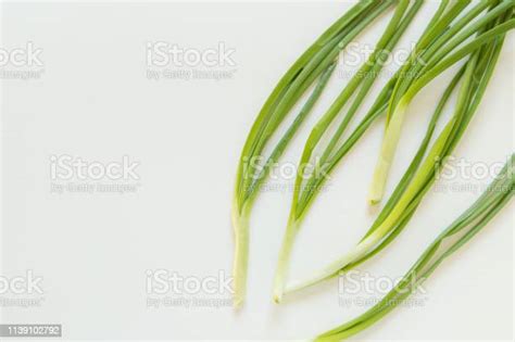 흰색 고립 된 배경에 신선한 녹색 양파 텍스트를 위한 장소 공간의 사본 채식과 유기농 식품의 개념 개체 그룹에 대한 스톡 사진