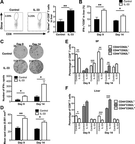 Exogenous Il 33 Enhances Antigen Specific Anti Leukemia Cd8 T Cell