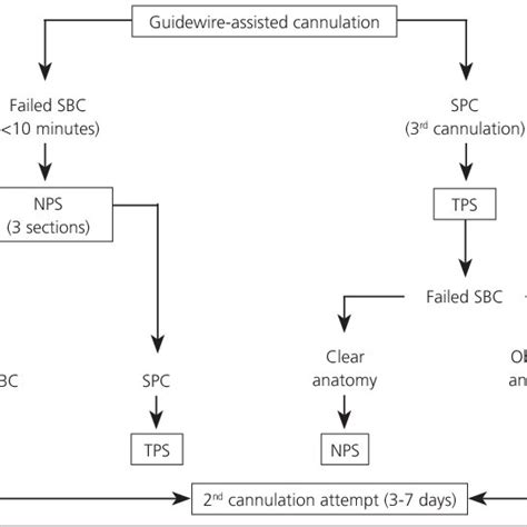 Biliary Cannulation Strategy Nps Needle Knife Precut Sphincterotomy