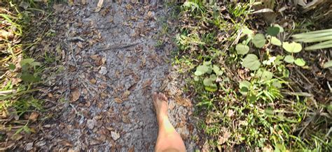 Barefoot Hiking Shoeless Nature Adventures