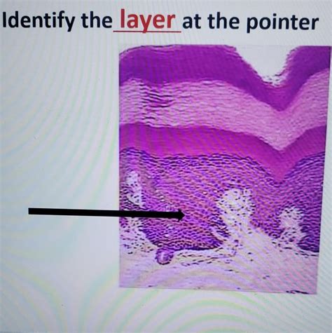 solved identify the layer at the pointer