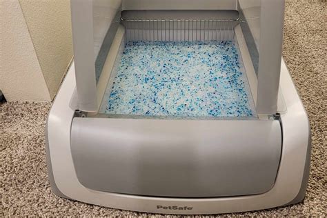 How Does An Automatic Litter Box Work Detroit Chinatown