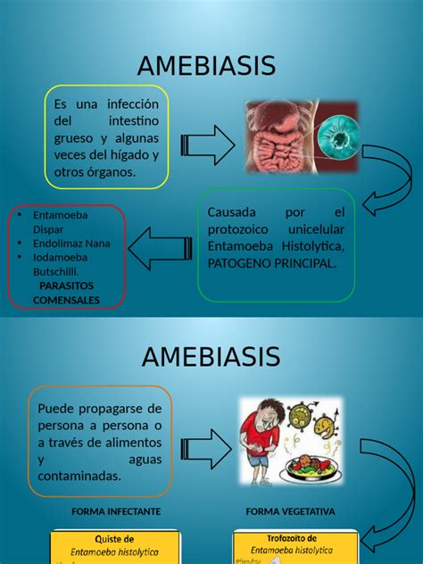 Amebiasis Pdf Epidemiología Microbiología