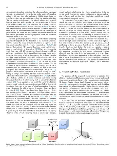pdf visualizing in vivo brain neural structures using volume rendered