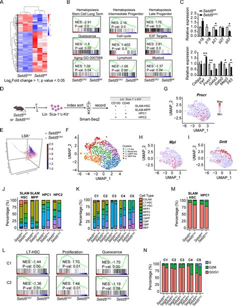 Transcriptome Profiling Of Setd5 Deficient HSCs Reveals Altered Stem