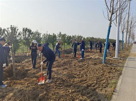 武汉经开区邓南街道组织开展义务植树活动 荆楚网 湖北日报网