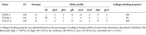 table 2 from multilocus sequence typing analysis of streptococcus