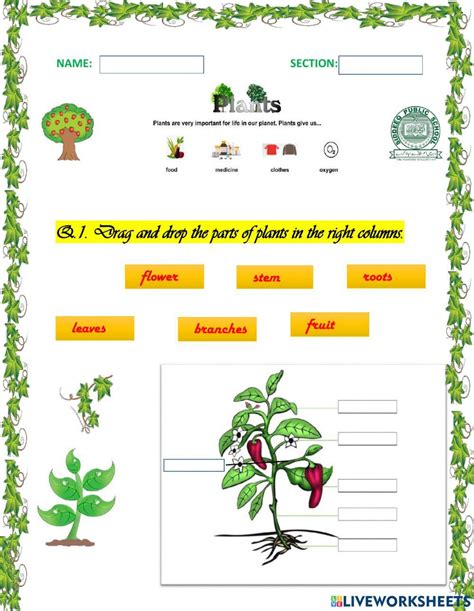Parts Of A Plant Interactive Activity For 1 4 Live Worksheets