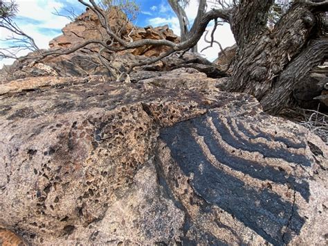 Iron Rich Tillite • Flinders Ranges Field Naturalists