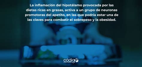 La Inflamación Del Hipotálamo Provocada Por Las Dietas Ricas En Grasas