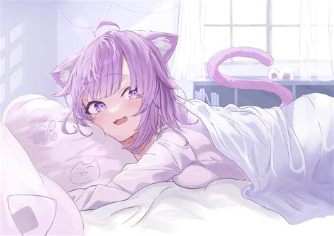 Anime Girl With Purple Hair And Cat Ears Anime Girl With Purple Hair And Cat Ears