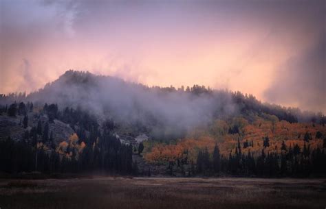 Wasatch Psychedelia Dan Moseson Phd