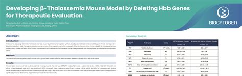 Ash 2025 Developing β Thalassemia Mouse Model By Deleting Hbb Genes