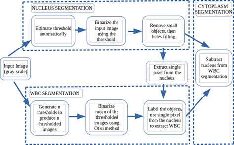 Schematic Diagram A Block Diagram Summarizing The Steps For Nucleus