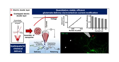 Inverted Ion Current Rectification Based Chemical Delivery Probes For