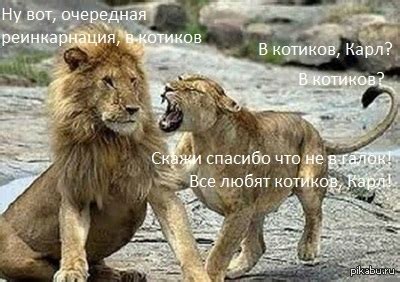 Реинкарнация #2 | Пикабу