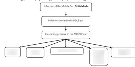 Otitis Media NCM 109 Diagram Quizlet