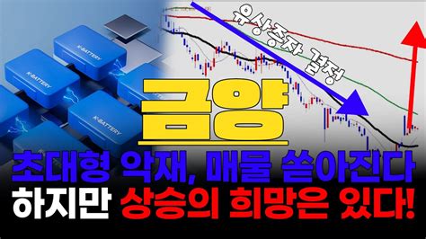 금양 결국 유상증자 결정 초대형 악재에 매물 쏟아지지만 아직 상승의 희망은 있다 Youtube