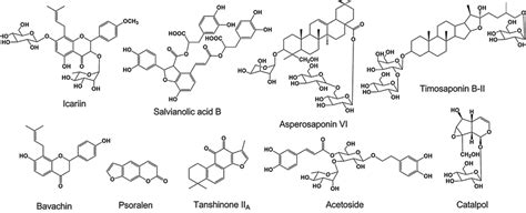 Structures Of Selected Representative Compounds Download Scientific