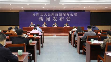 聚焦优化营商环境，松阳召开两场新闻发布会