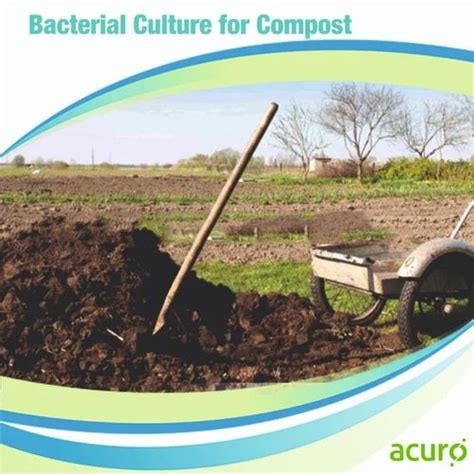 Bacterial Culture For Compost At ₹ 600kg Agricultural Chemical In Mumbai Id 3934934091