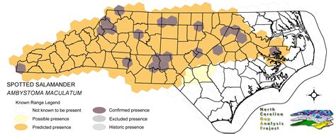Blue Spotted Salamander Range Map At Jeremy Fenner Blog