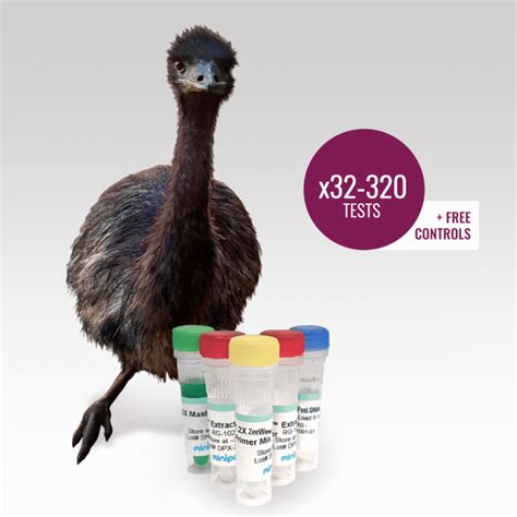 Zeewee™ Iv Bird Dna Sex Test Minipcr Dx