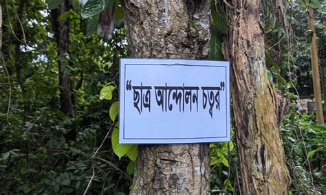 কুবিতে ‘ছাত্র আন্দোলন চত্বর