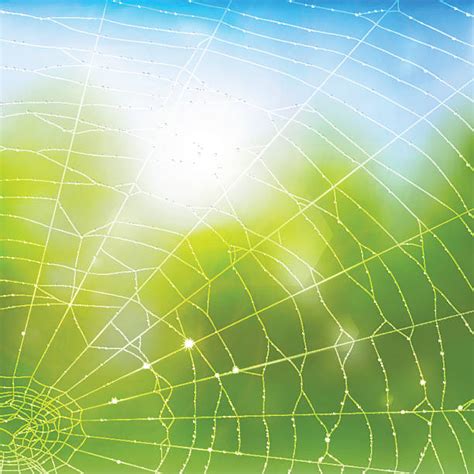 Spiders Web Dew Illustrations Royalty Free Vector Graphics And Clip Art